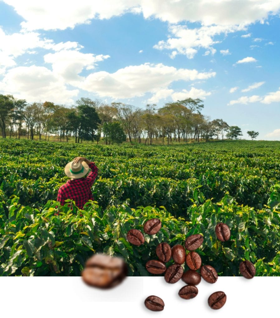 About Coffee Lounge | Coffee Lounge