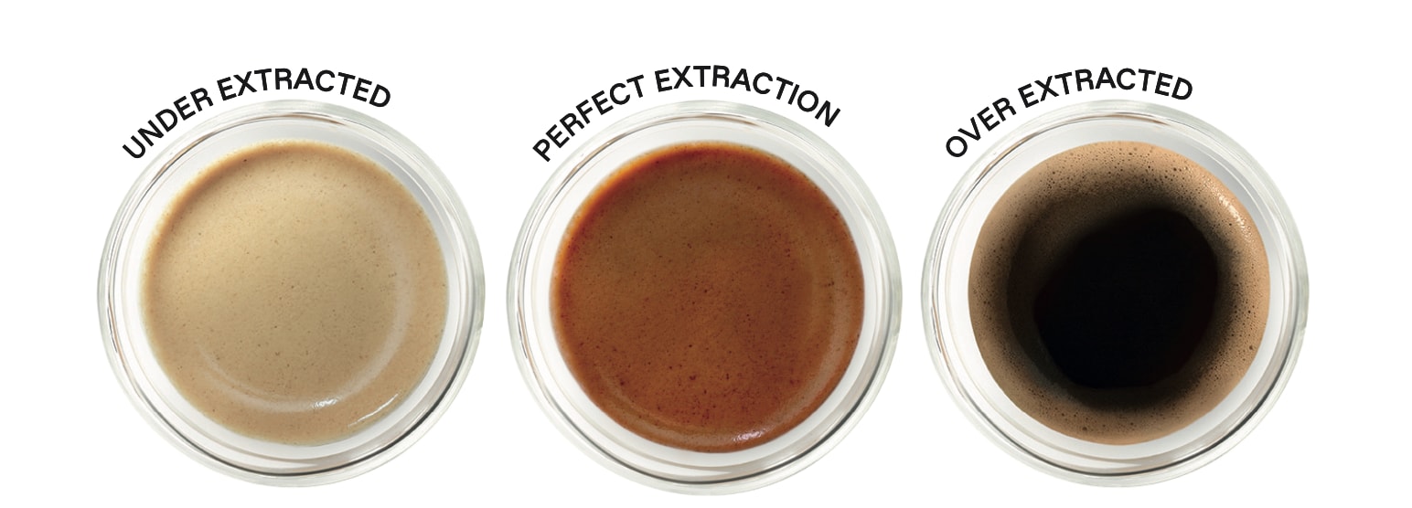 Cómo preparar el Espresso perfecto | Coffee Lounge ES